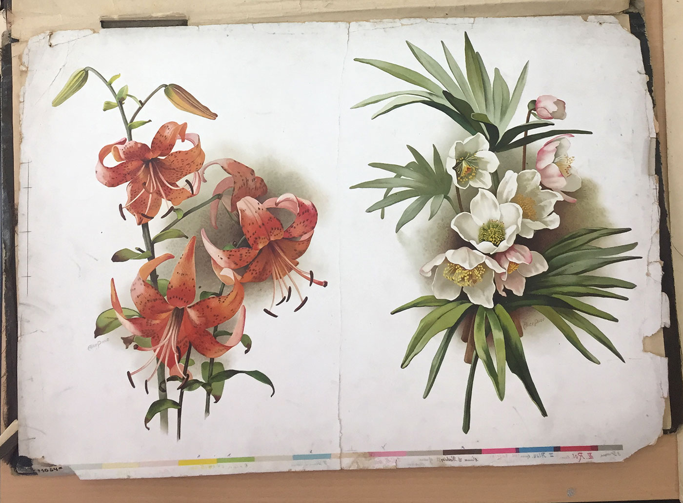 Lithografie_4716 – Berufskolleg Grafikdesign